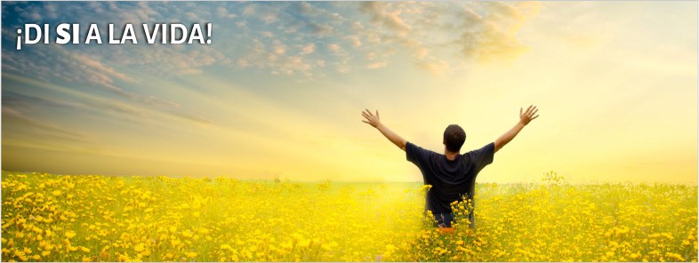 ¡Di SI a la Vida! Vivir en el Presente - Alex Novell - Otra manera de ...